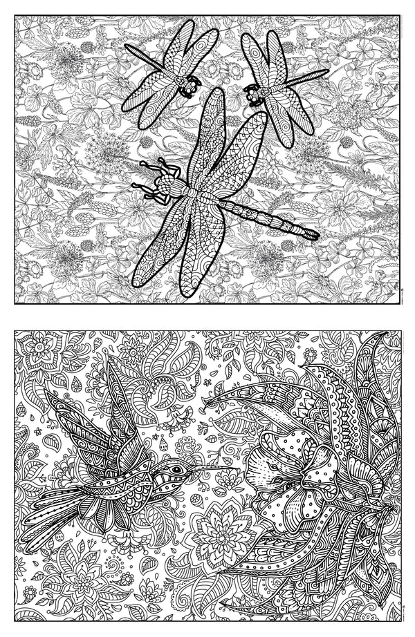 Hummingbird & Dragon 2in1 Combo Giant Coloring Poster – Debbie Lynn
