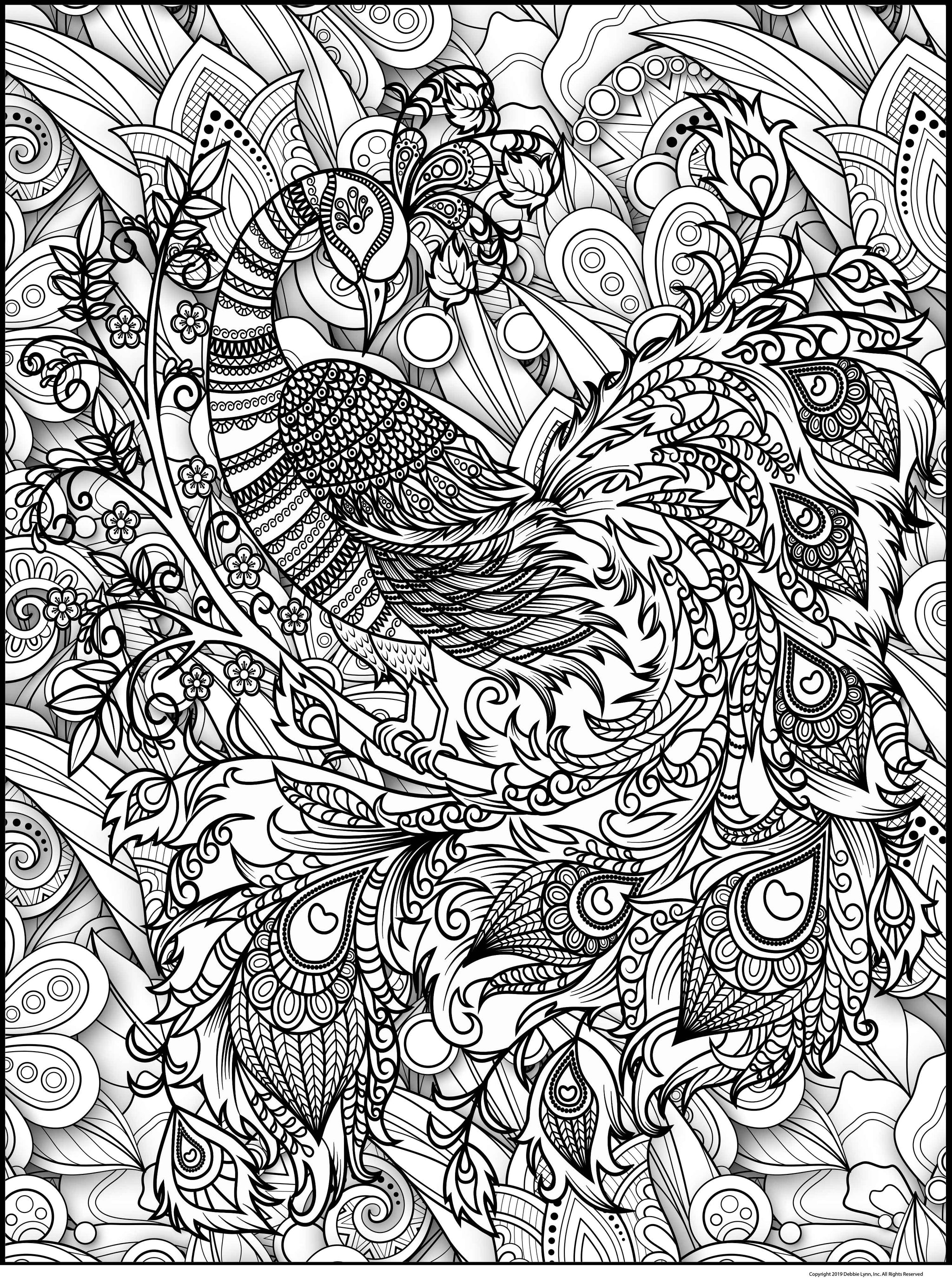 Peacock Personalized Giant Coloring Poster 46"x60" – Debbie Lynn
